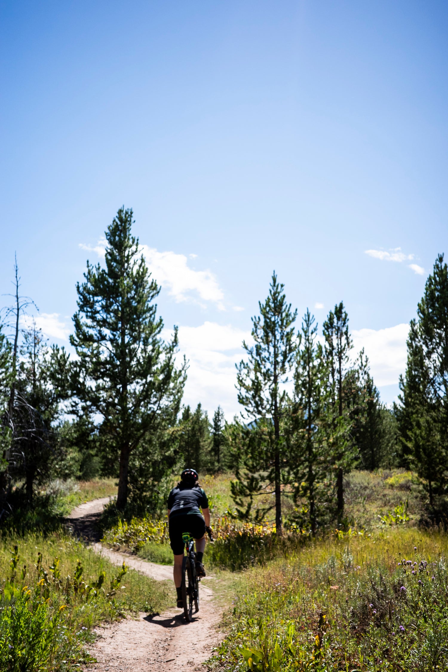 Best everyday adventure bike bags | MoosePacks